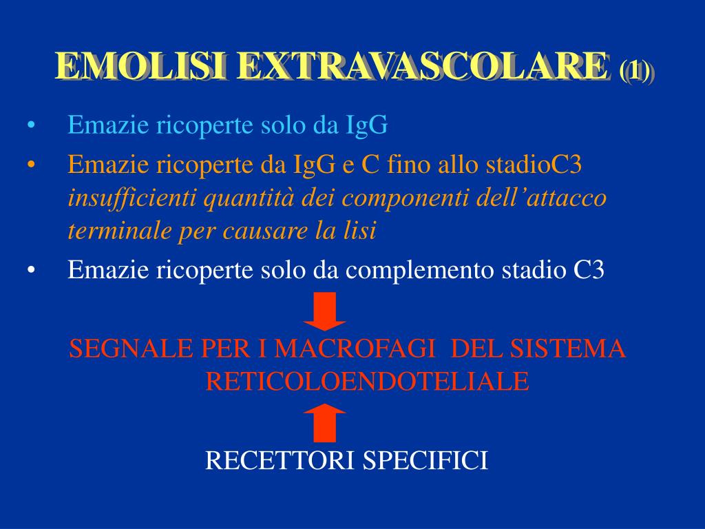 PPT - ANEMIA EMOLITICA IMMUNOMEDIATA PowerPoint Presentation, free ...