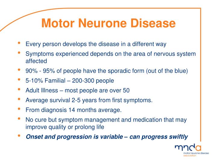PPT - Neurological Facts PowerPoint Presentation - ID:3341876