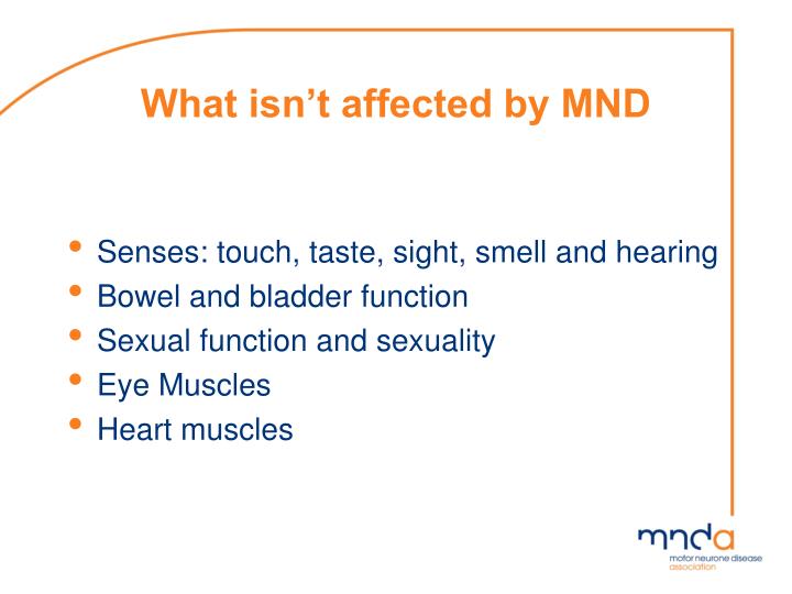 PPT - Neurological Facts PowerPoint Presentation - ID:3341876