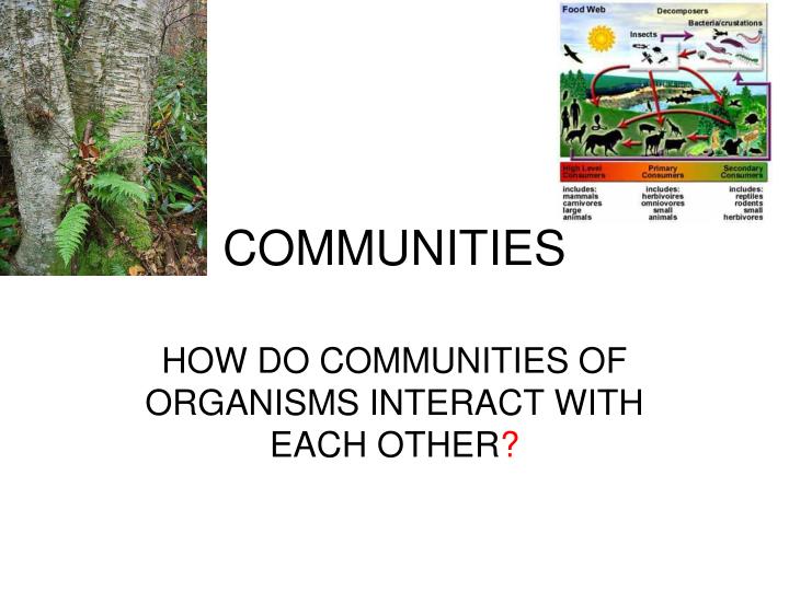 Ppt Communities Powerpoint Presentation Free Download Id 3341938