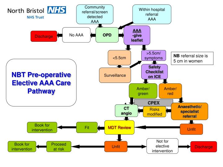 PPT - NBT Pre-operative Elective AAA Care Pathway PowerPoint ...