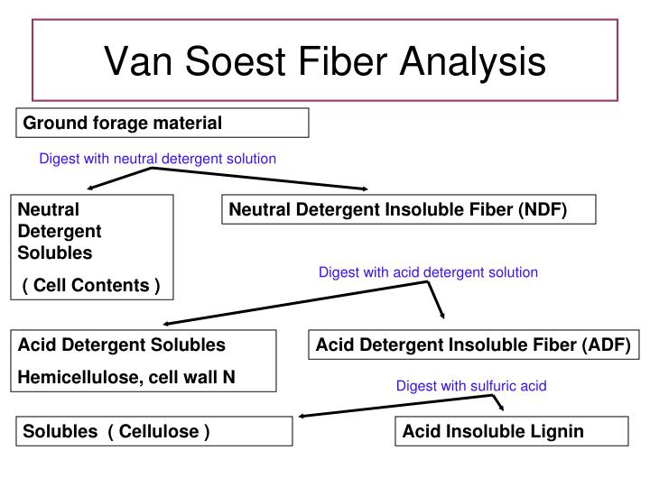 PPT - Lignin Effects on Intake and Ruminal Digestion PowerPoint ...