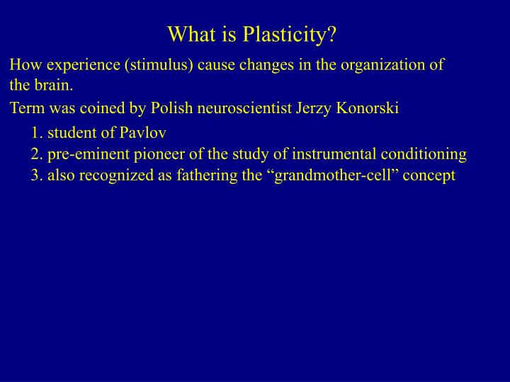 PPT - What is Plasticity? PowerPoint Presentation, free download - ID ...