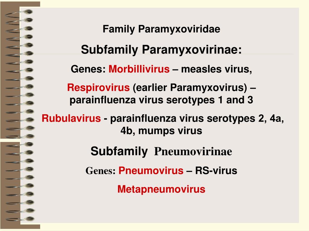 PPT - Family Paramyxoviridae Subfamily Paramyxovirinae: Genes ...