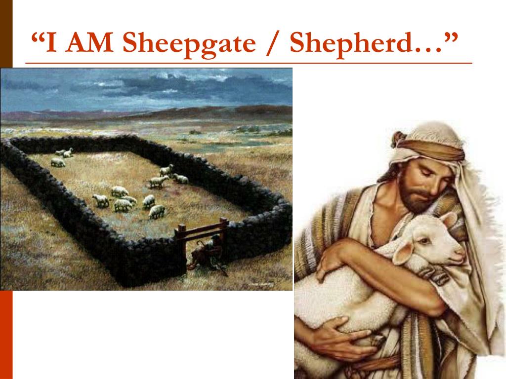 PPT - The Gospel according to John “Amen, Amen” & “I AM” PowerPoint ...