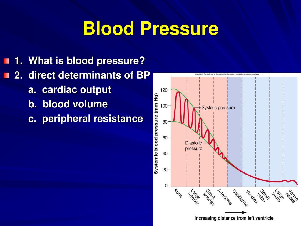 PPT - The Cardiovascular System: Blood Vessels and Hemodynamics ...
