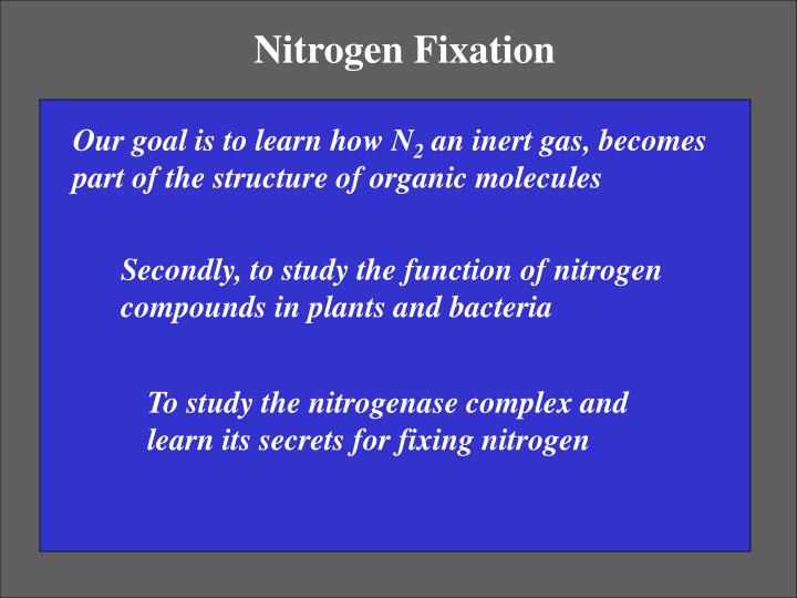 PPT - Nitrogen Fixation PowerPoint Presentation, free download - ID:3343507