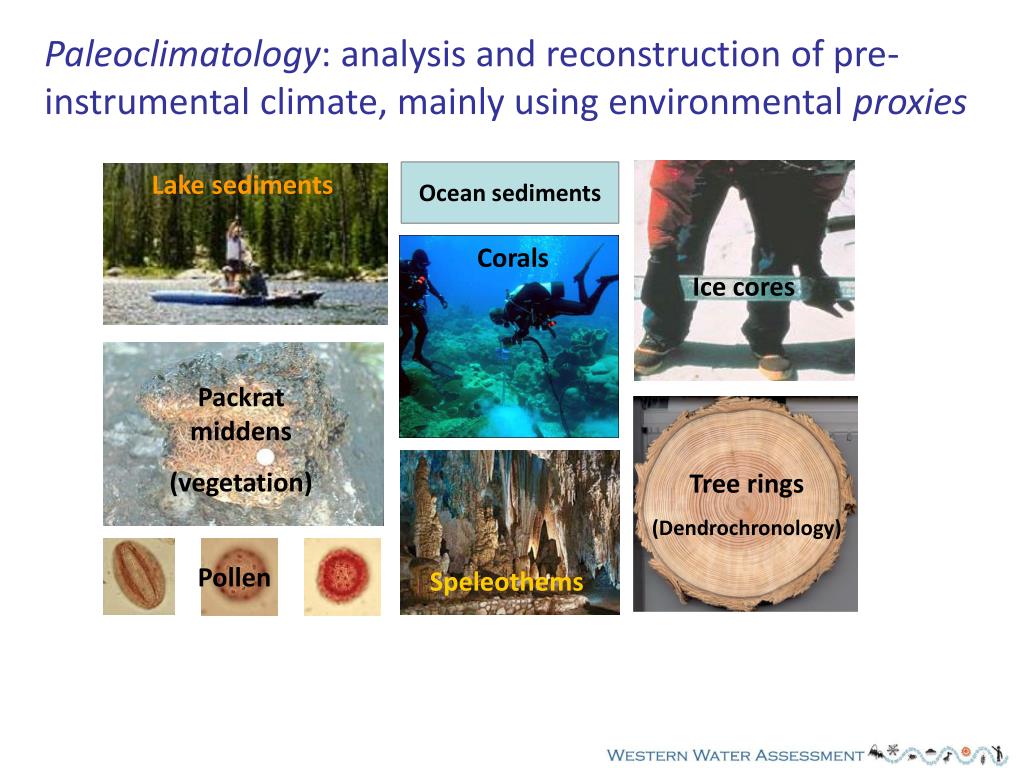 PPT - Micro-Rings and Megadroughts - What Can Tree Rings Tell Us About ...