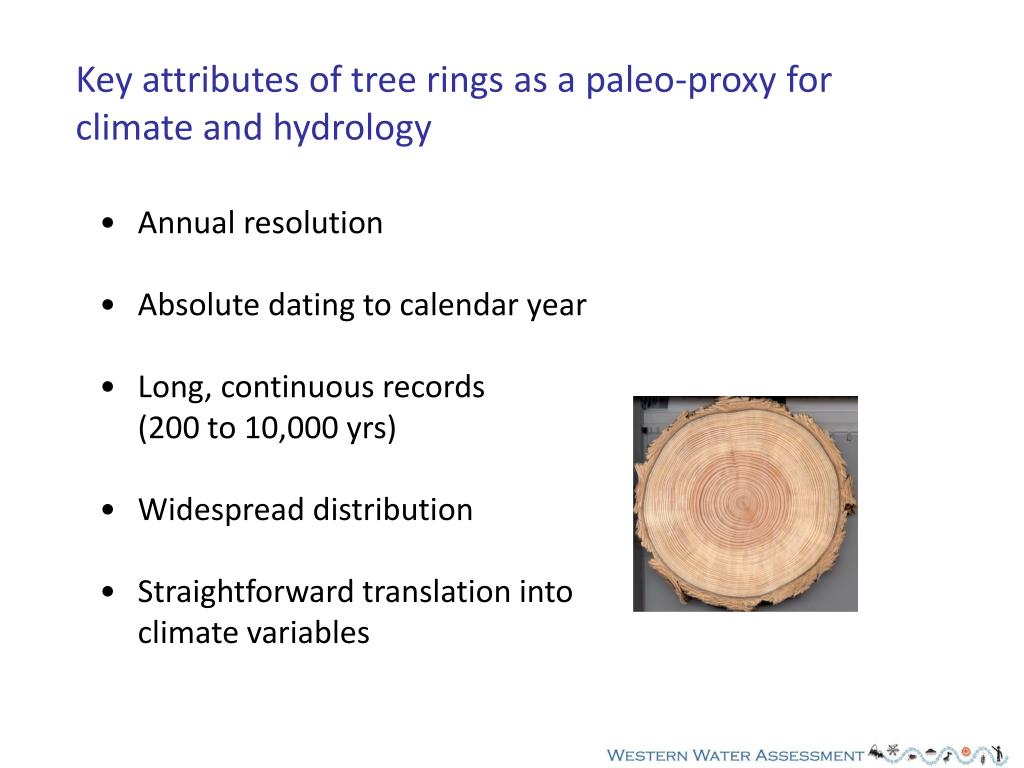 PPT - Micro-Rings and Megadroughts - What Can Tree Rings Tell Us About ...