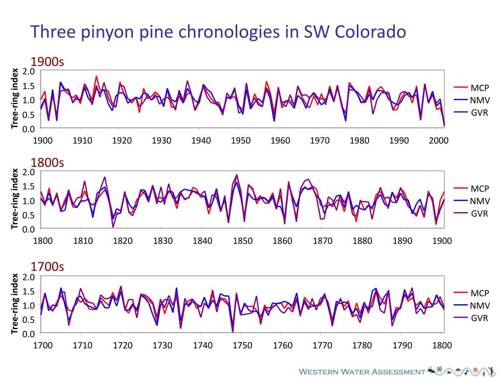PPT - Micro-Rings and Megadroughts - What Can Tree Rings Tell Us About ...