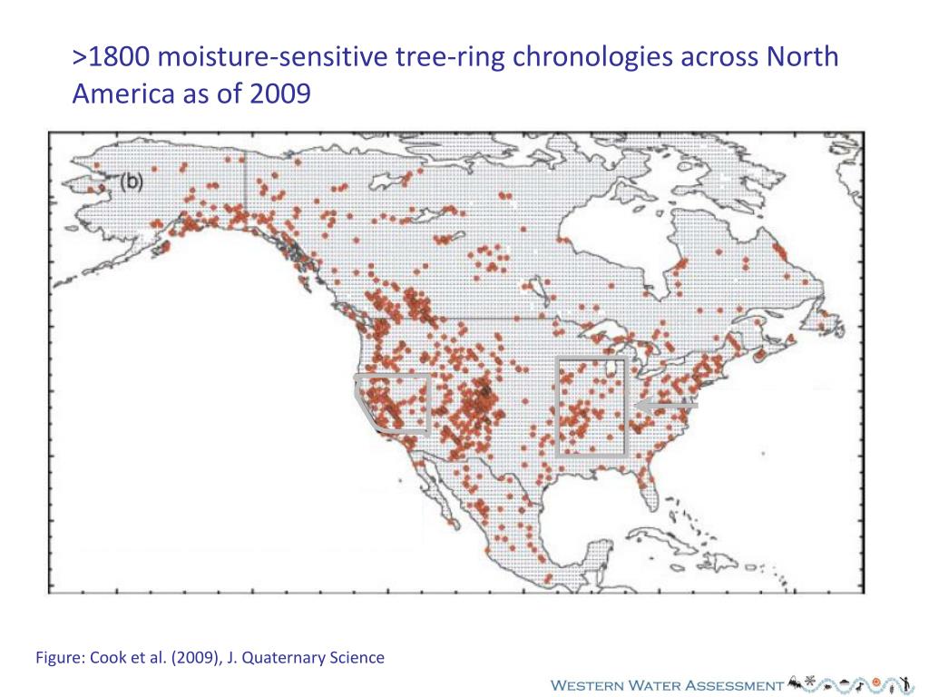 PPT - Micro-Rings and Megadroughts - What Can Tree Rings Tell Us About ...