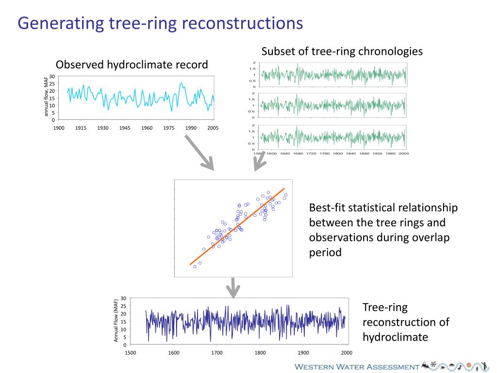 PPT - Micro-Rings and Megadroughts - What Can Tree Rings Tell Us About ...