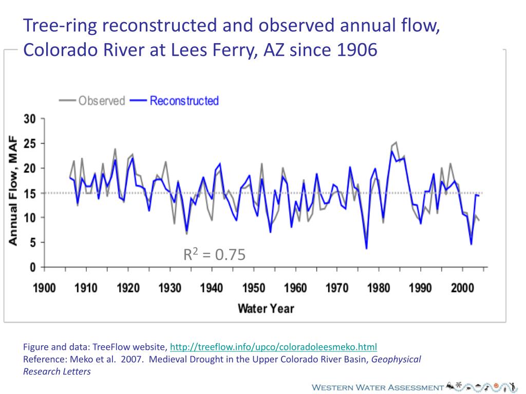 PPT - Micro-Rings and Megadroughts - What Can Tree Rings Tell Us About ...