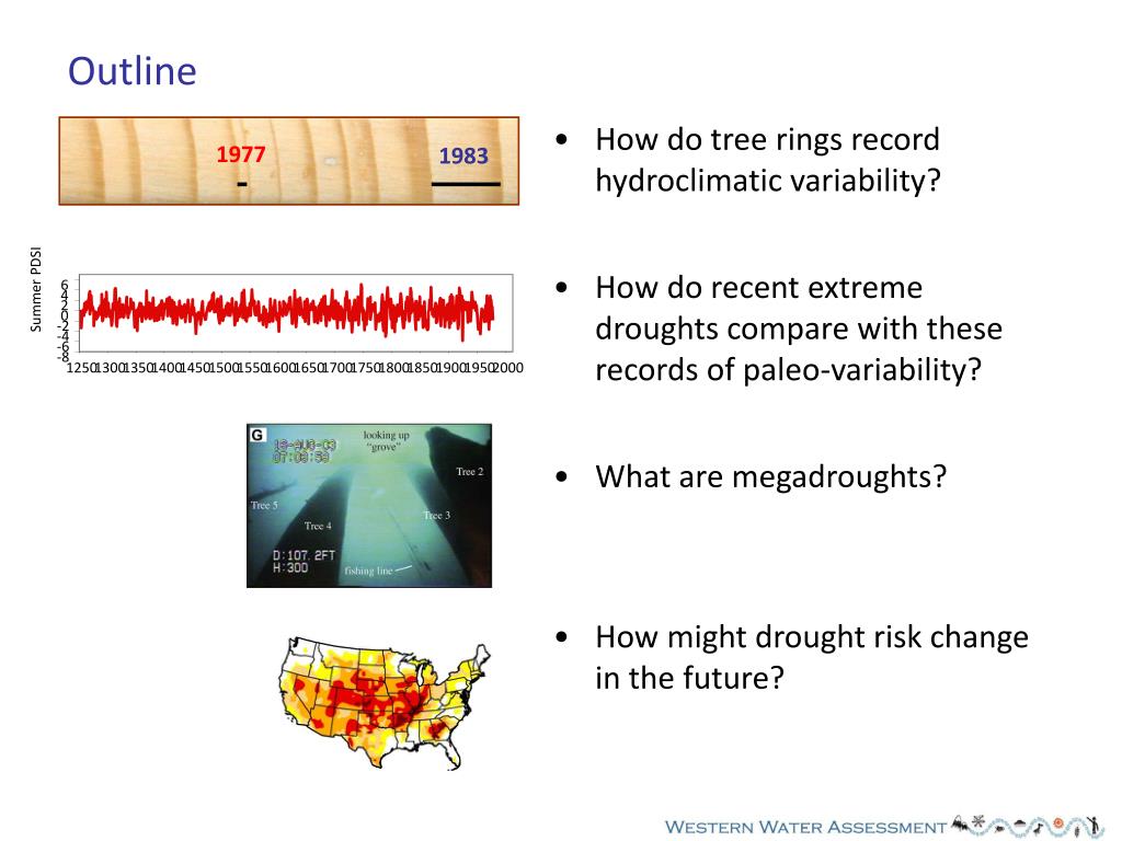 PPT - Micro-Rings and Megadroughts - What Can Tree Rings Tell Us About ...