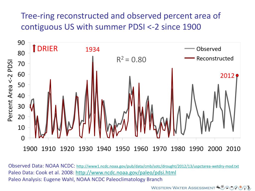 PPT - Micro-Rings and Megadroughts - What Can Tree Rings Tell Us About ...