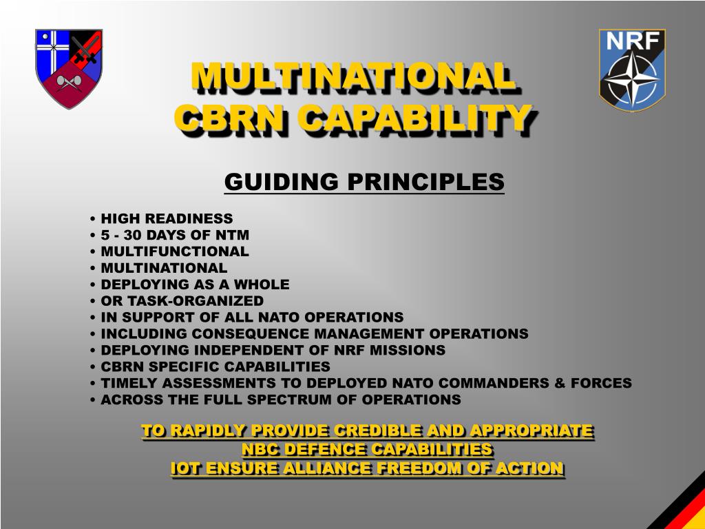 PPT - BRIEFED TO THE INTERNATIONAL PANEL WW CHEMICAL CONFERENCE / US ...