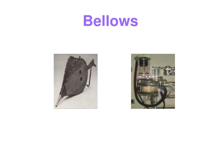 PPT - Lung: Anatomy & Physiology PowerPoint Presentation - ID:3344713