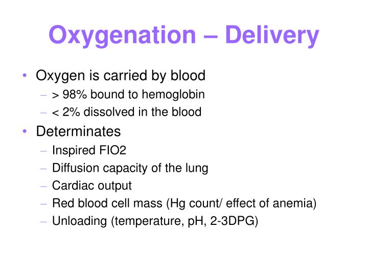 PPT - Lung: Anatomy & Physiology PowerPoint Presentation - ID:3344713