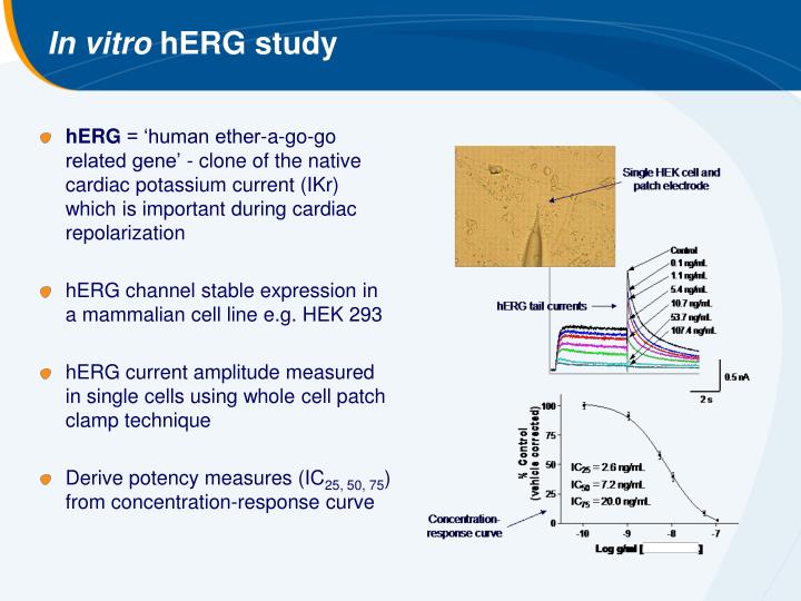 PPT - Safety Pharmacology PowerPoint Presentation - ID:3346708