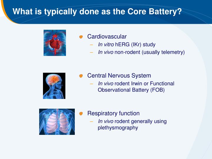 PPT - Safety Pharmacology PowerPoint Presentation - ID:3346708