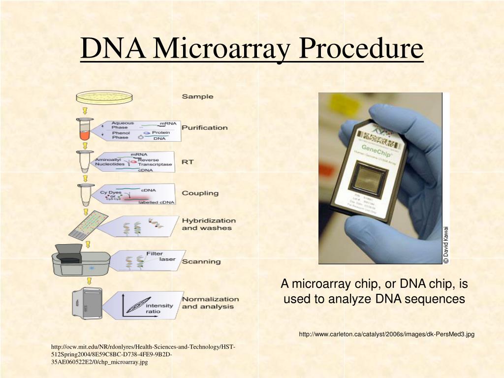 PPT - Esop Baek and Celline Kim Manhasset HS Science Research in ...