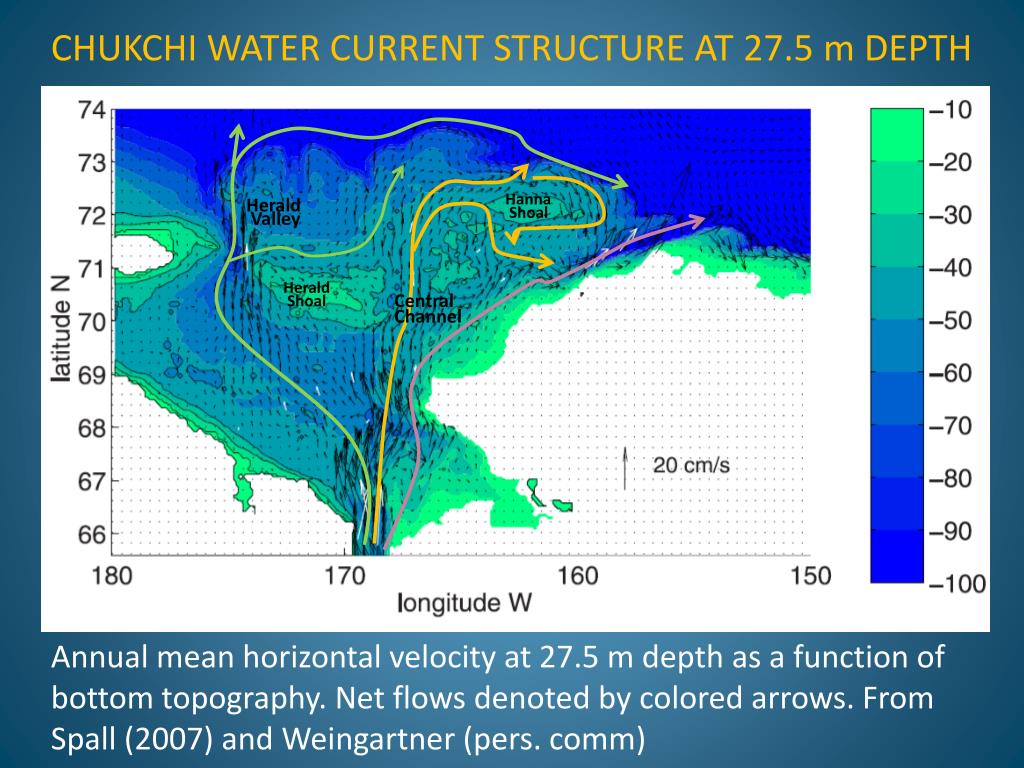 PPT - An Integrated Ecosystem Study of the Hanna Shoal Ecosystem ...