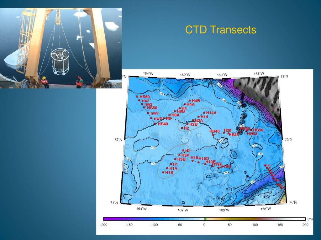 PPT - An Integrated Ecosystem Study of the Hanna Shoal Ecosystem ...