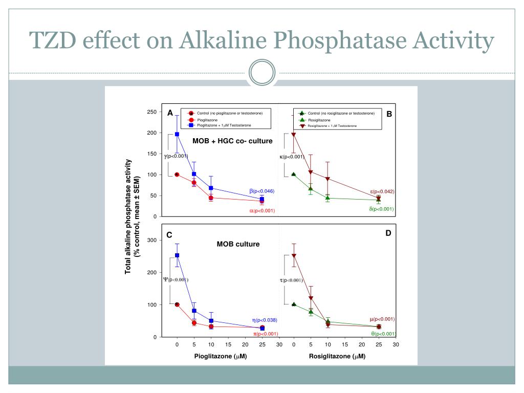 PPT - Thiazolidinediones and Bone Metabolism: in-vitro studies ...