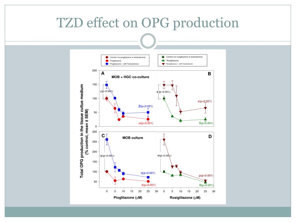 PPT - Thiazolidinediones and Bone Metabolism: in-vitro studies ...