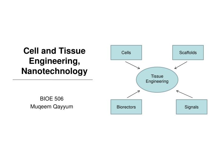 PPT - Cell and Tissue Engineering, Nanotechnology PowerPoint ...