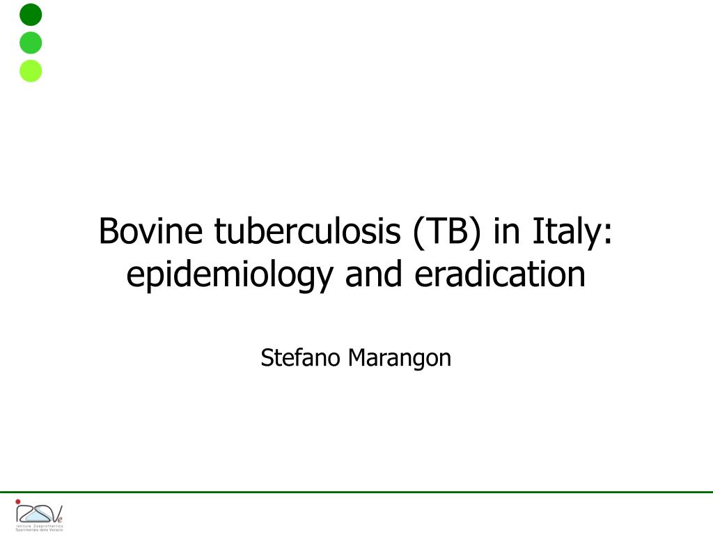 PPT - Bovine tuberculosis (TB) in Italy: epidemiology and eradication ...