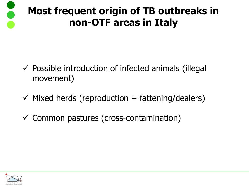 PPT - Bovine tuberculosis (TB) in Italy: epidemiology and eradication ...