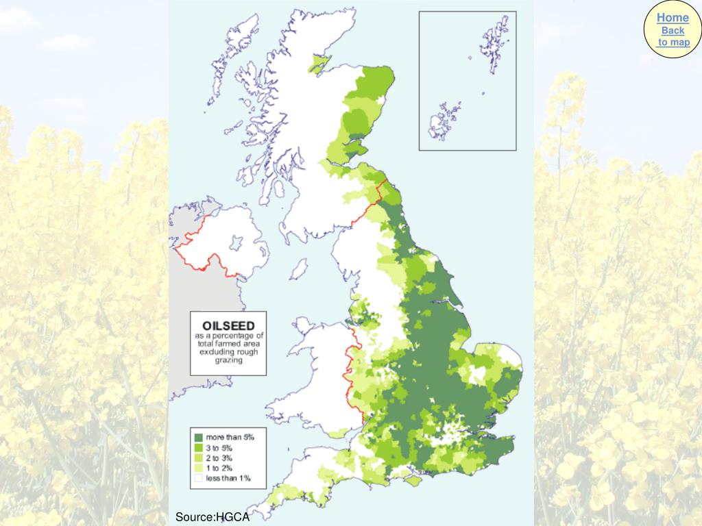 PPT - Future of UK winter oilseed rape production PowerPoint ...