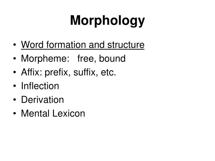 PPT - Morphology PowerPoint Presentation, free download - ID:3350056