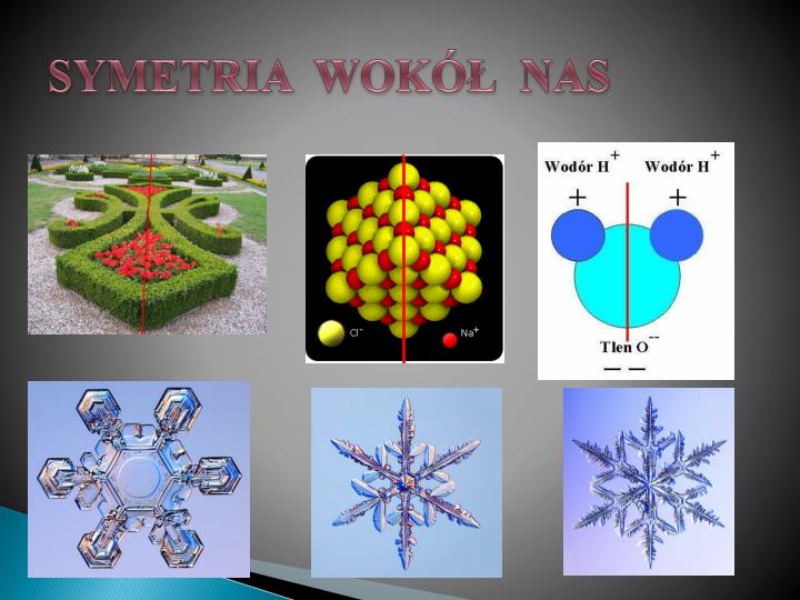 PPT - SYMETRIE W OTACZAJĄCYM NAS ŚWIECIE PowerPoint Presentation - ID ...