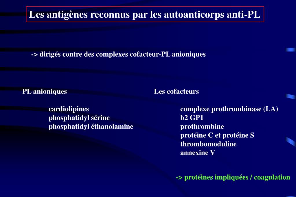 PPT - SYNDROME DES ANTICORPS ANTI-PHOSPHOLIPIDES LUPUS ERYTHEMATEUX ...