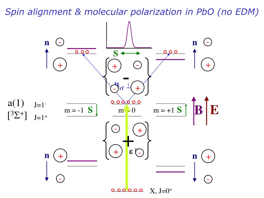 PPT - Search for the electron electric dipole moment PowerPoint ...