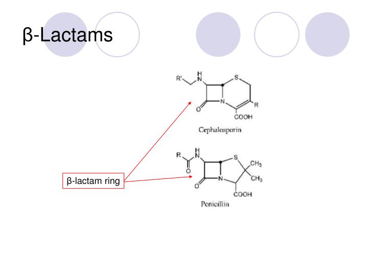 PPT - The Beta-Lactam Antibiotics PowerPoint Presentation - ID:3351492
