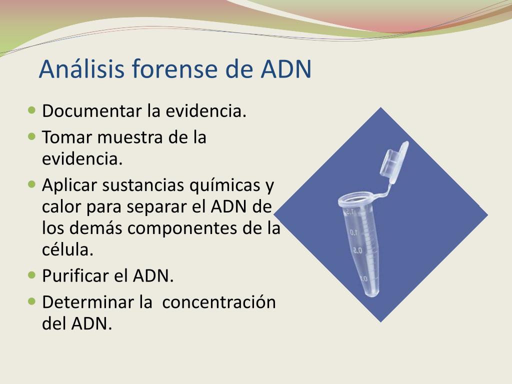 PPT - Forensic DNA Analysis in Court: Procedures and Importance ...