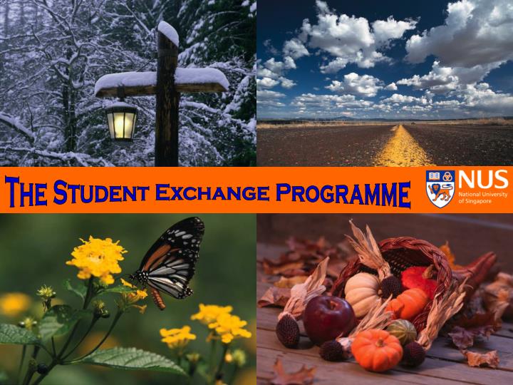 PPT - The Student Exchange Programme PowerPoint Presentation, free ...