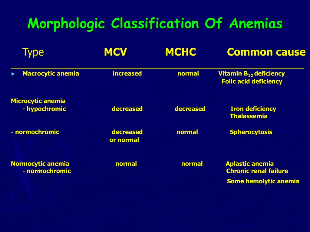 PPT - Red Cell Indices and Anemia Classification Guide PowerPoint ...