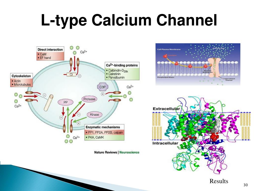 PPT - Jinn-Liang Liu National Hsinchu University of Education Jan. 5 ...