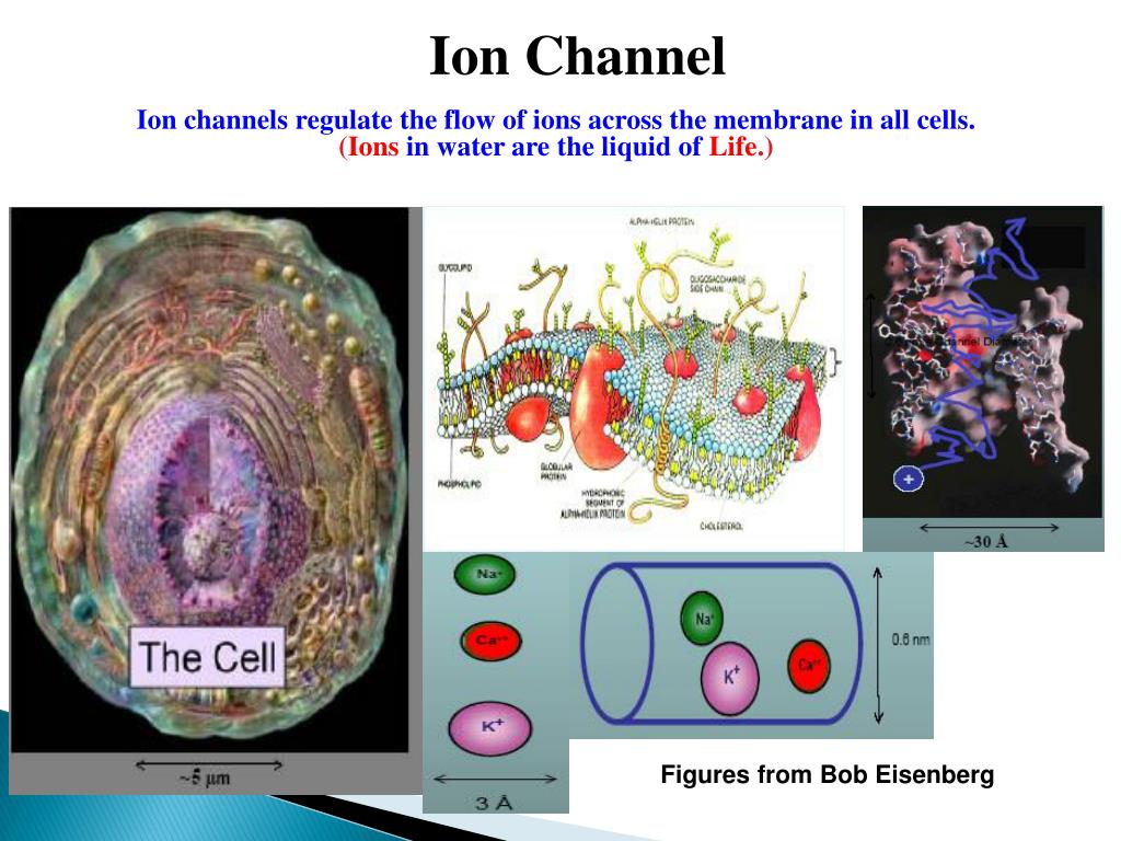 PPT - Jinn-Liang Liu National Hsinchu University of Education Jan. 5 ...