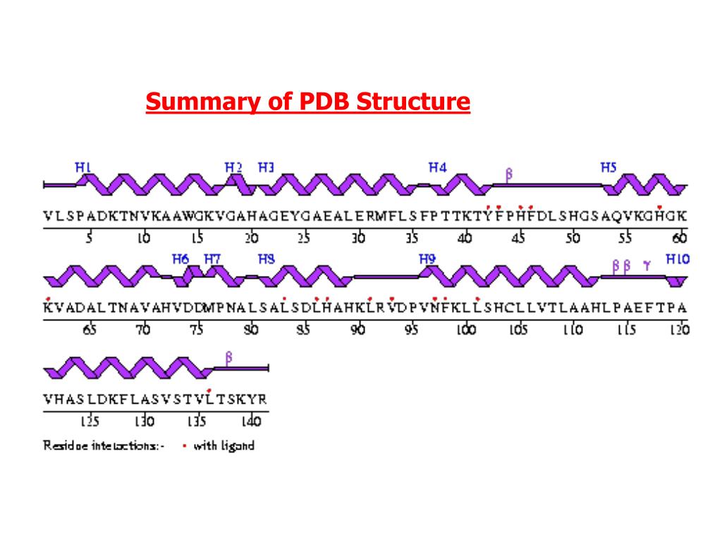 PPT - The digestive system, thermodynamics, enzymes, and transport ...