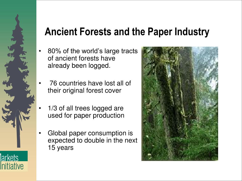 PPT - Pulp Nonfiction Paper Choices and Sustainability in the Paper ...