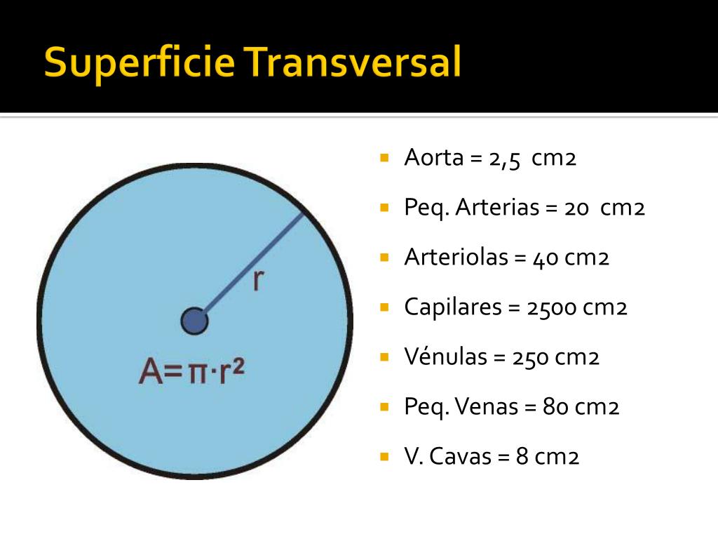 PPT - Aspectos Fisiológicos de la Circulación.- PowerPoint Presentation ...