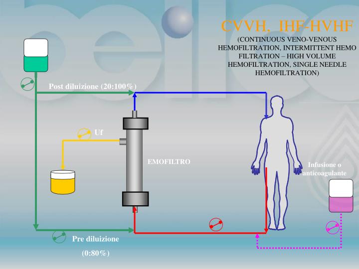 PPT - Bellco srl Lynda CRRT machine CVVH PEX & CPFA Presentation ...