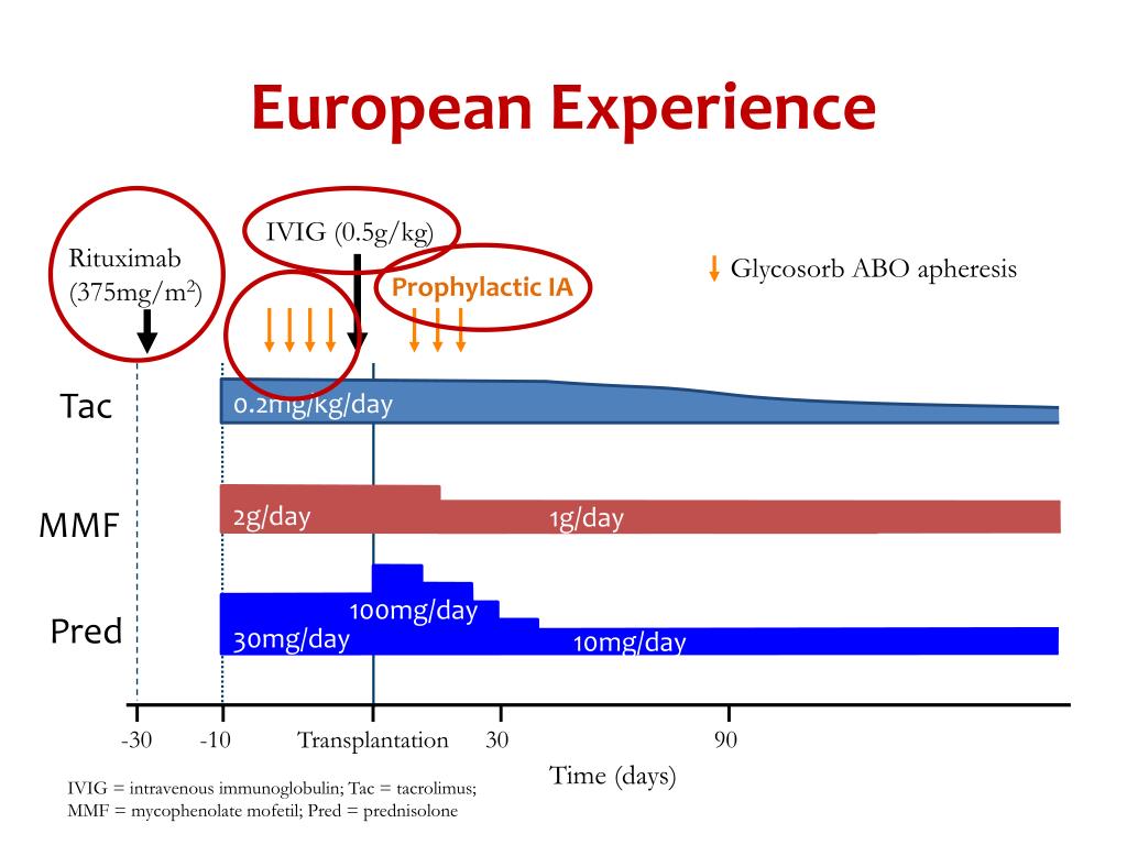 PPT - ABO-incompatible Living Kidney Transplantation PowerPoint ...