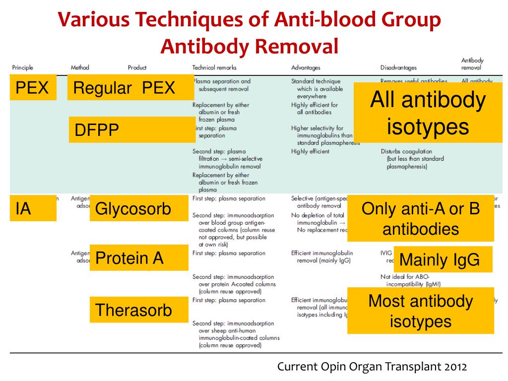 PPT - ABO-incompatible Living Kidney Transplantation PowerPoint ...