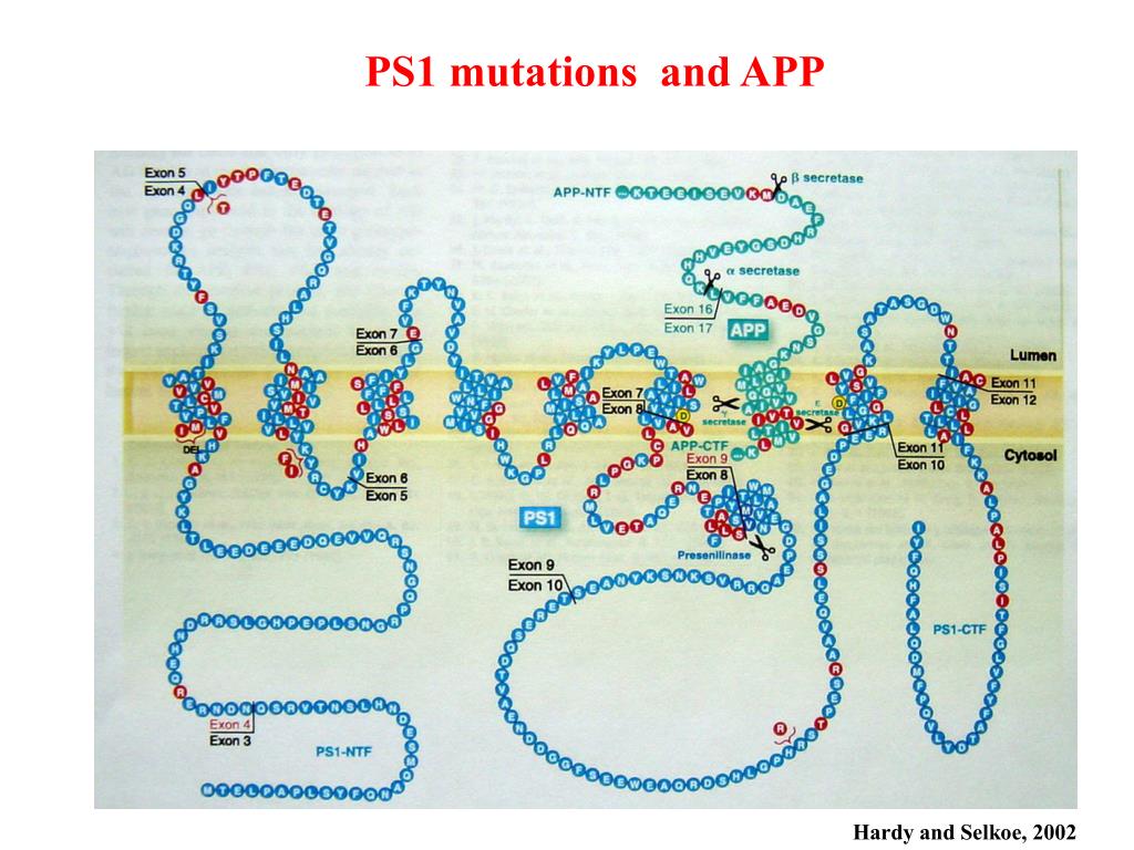 PPT - Alois Alzheimer (1864-1915) PowerPoint Presentation, free ...